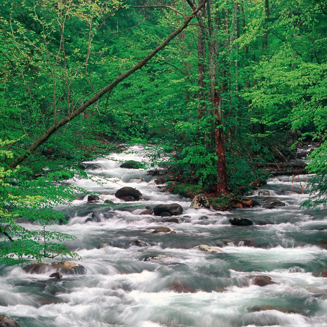 Staff – Forks of the River Clinic